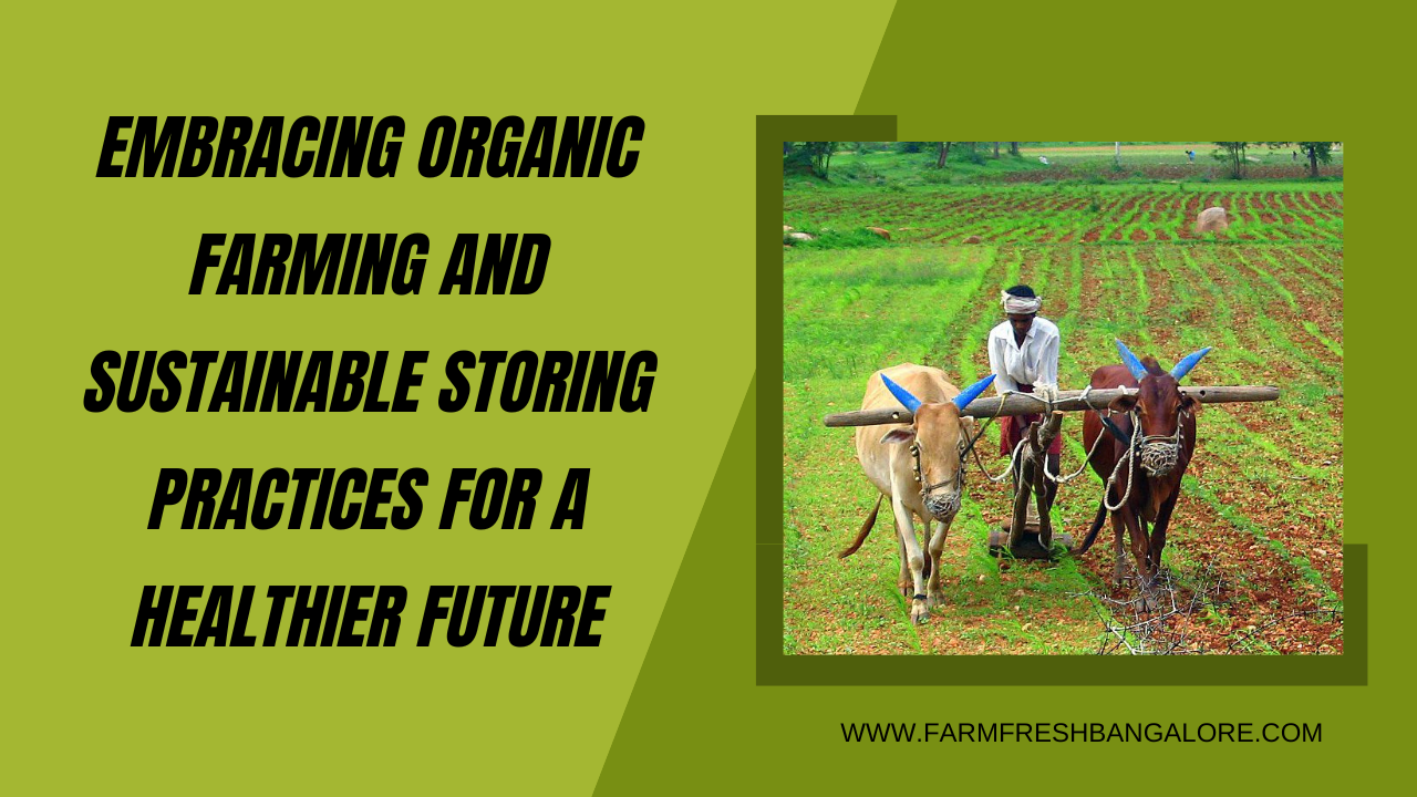 Embracing Organic Farming and Sustainable Storing Practices for a Heal – Farm Fresh Bangalore