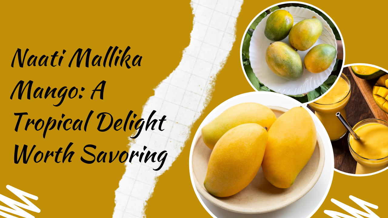 Naati Mallika Mango: A Tropical Delight Worth Savoring – Farm Fresh Bangalore