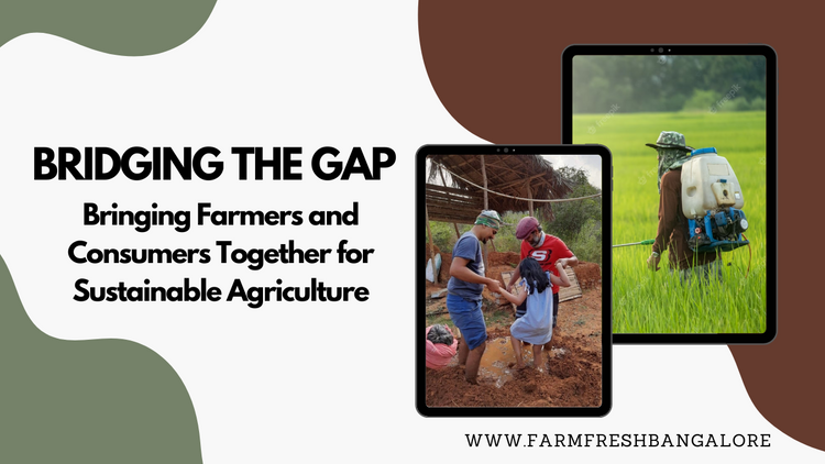 Bridging the Gap: Bringing Farmers and Consumers Together for Sustaina – Farm Fresh Bangalore